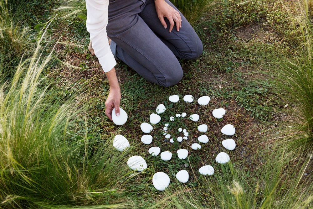 Santa Fe Company Finds Niche Market and Rapid Growth - New Mexico EDD