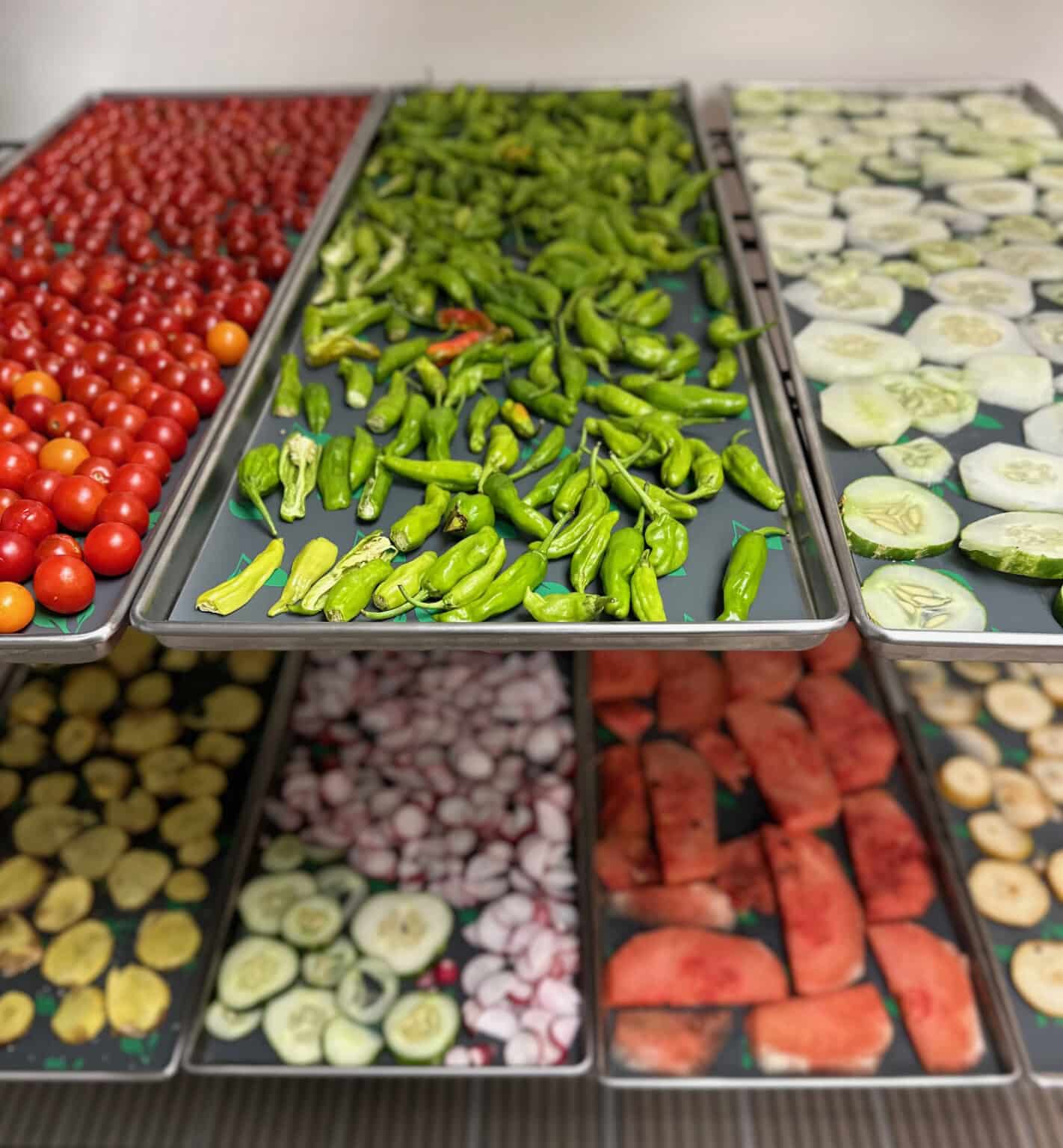 Food, Hunger, and Agriculture Program - New Mexico EDD